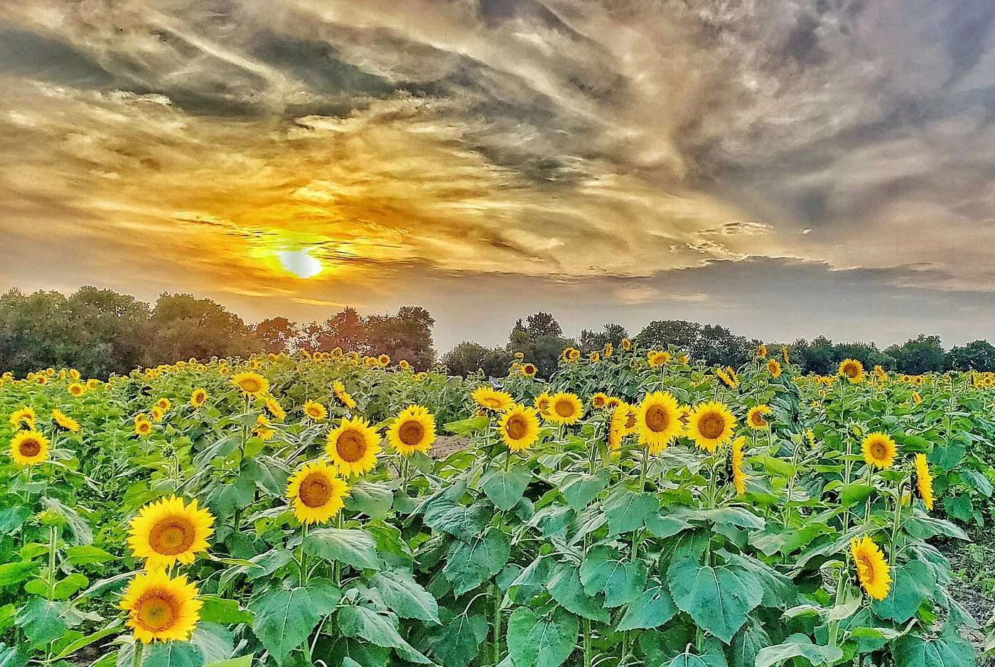 Family-Friendly Farms in Vermont